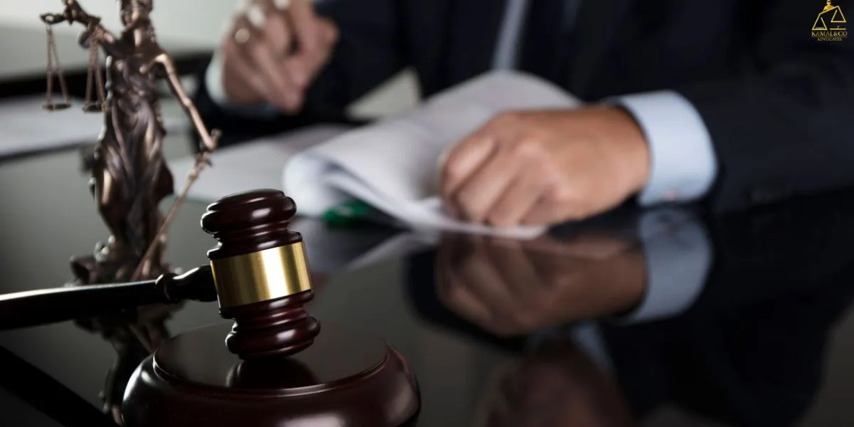 Types of Criminal Cases in India: All Types Explained - Kamal and Co ...